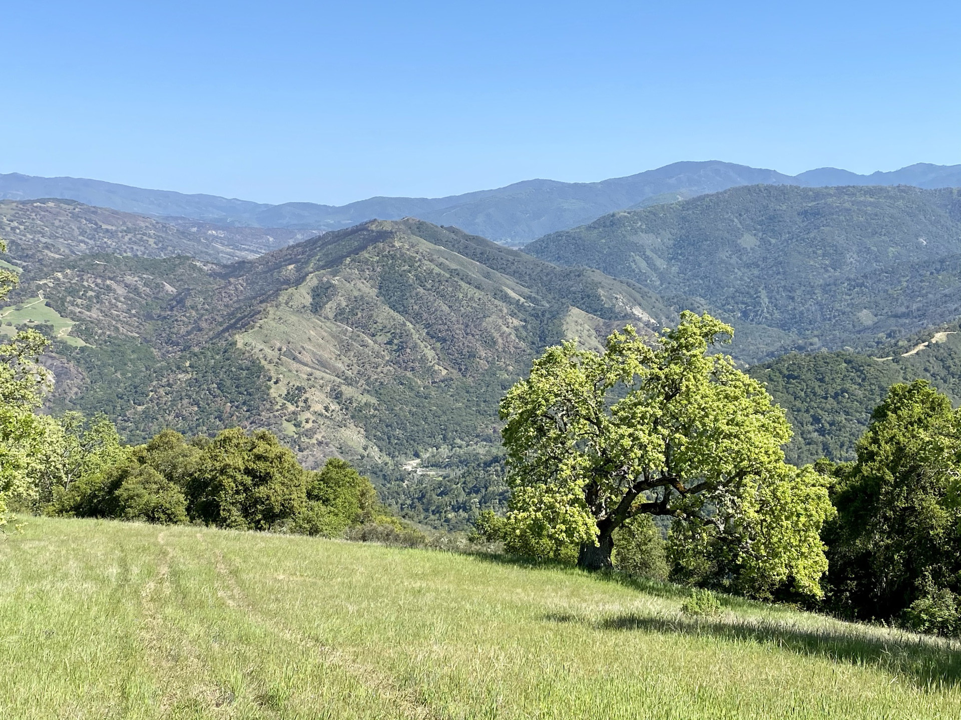 The Preserve Collection - Santa Lucia Preserve Real Estate | Carmel ...